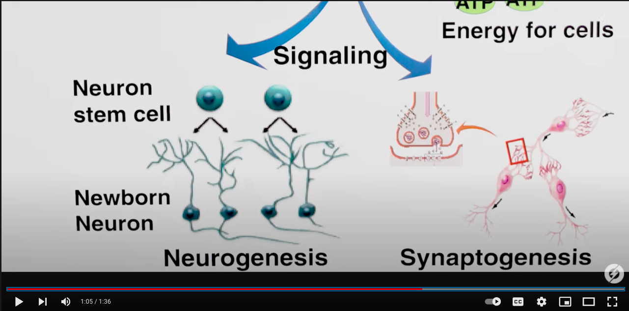 Building NovoTHOR: Cool LEDs and product lifetime